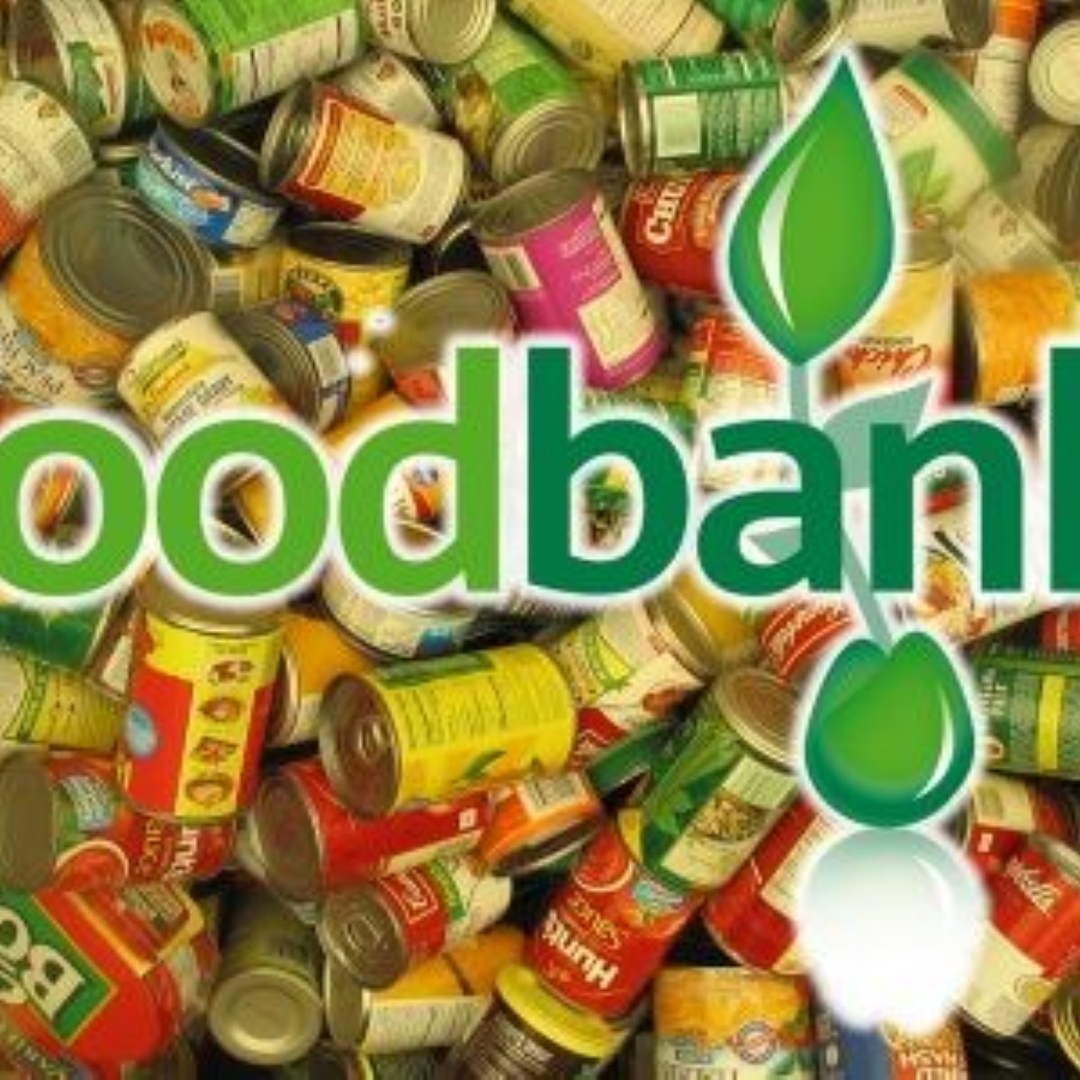 Hallbrook Primary School - Harvest Collection