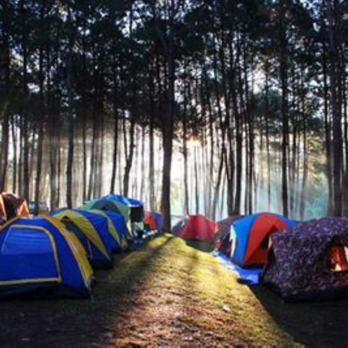 Hallbrook Primary School - Summer Camp